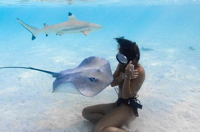 Private Boat Tours on Moorea Lagoon - Who Is This Tour Best For?