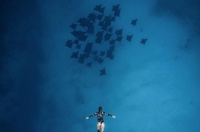 Private Boat Tours on Moorea Lagoon - FAQ