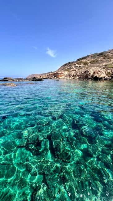 Private Boat Trip Playa de Palma Marine Reserve - The Experience in Detail: What to Expect from the Private Boat Trip