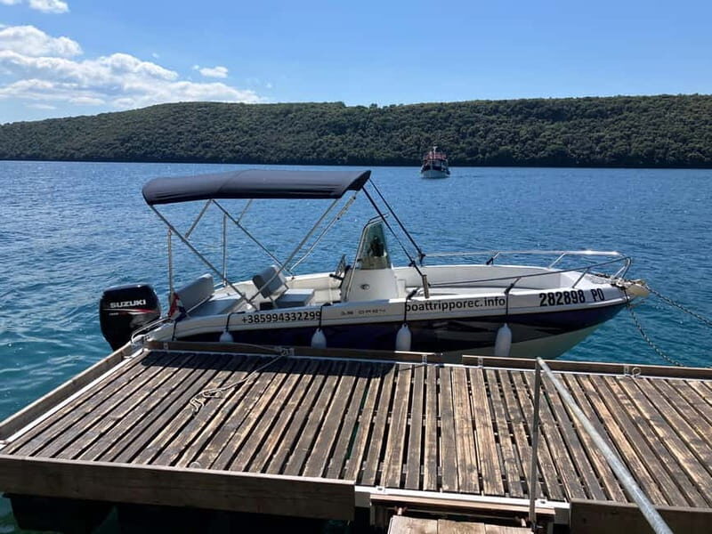 Private boat trips in Porec: dolphin watching, panoramic views - Practical Tips for Booking and Enjoying Your Trip  