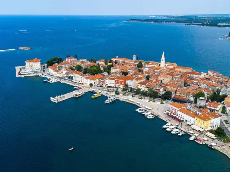 Private boat trips in Porec: dolphin watching, panoramic views - FAQ  