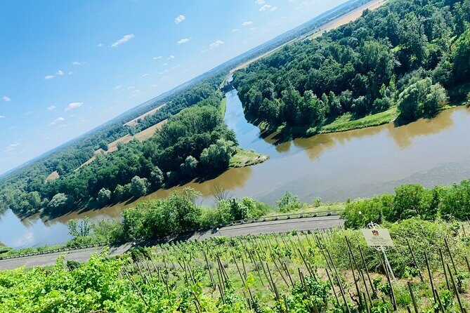 Private Bohemia Wine Tour from Prague with Gourmet Tastings - Key Points