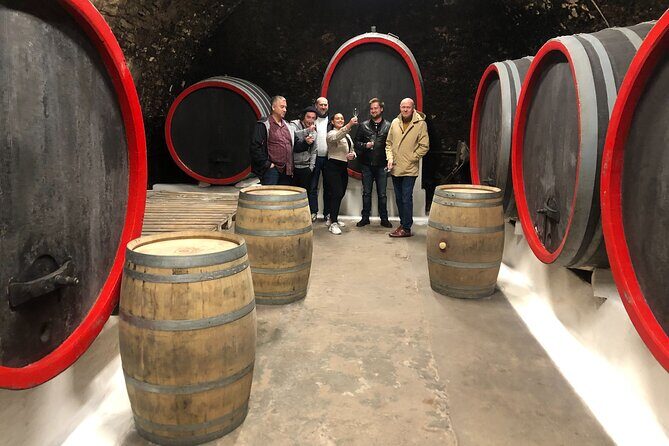 Private Bohemia Wine Tour from Prague with Gourmet Tastings - Who Will Love This Tour?