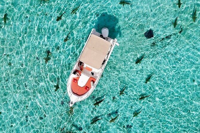 Private Bora Bora Lagoon Experience - Frequently Asked Questions