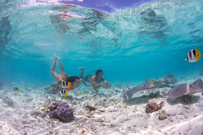 Private Bora Bora Lagoon Snorkel Cruise with BBQ Picnic - Authentic and Eco-Conscious Approach
