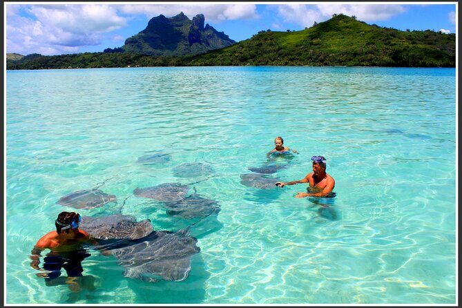 Private Bora Bora Lagoon & Water Lunch Experience - Who Will Love This Tour?