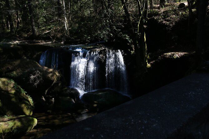 Private Border Corner Tour in Washington - Detailed Breakdown of the Itinerary