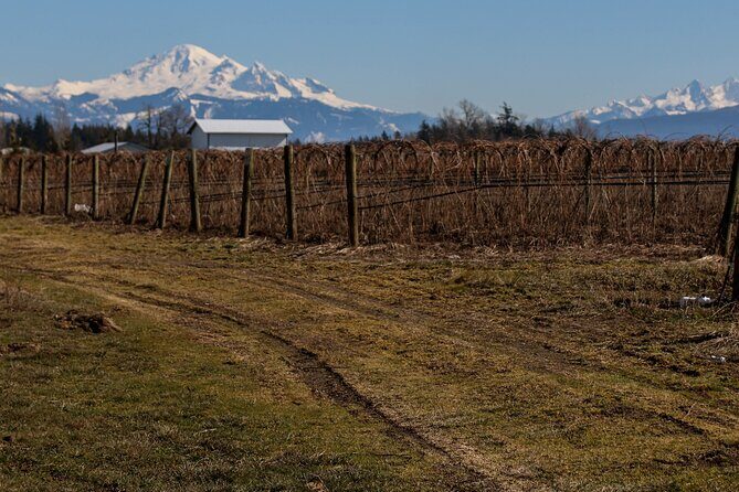 Private Border Corner Tour in Washington