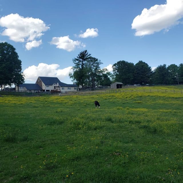 Private Brandywine and Longwood Gardens Driving Tour - FAQs