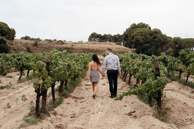Private Breakfast Winery Experience - Private Wine Tasting Tour - Transportation and Group Size: Making It Easy