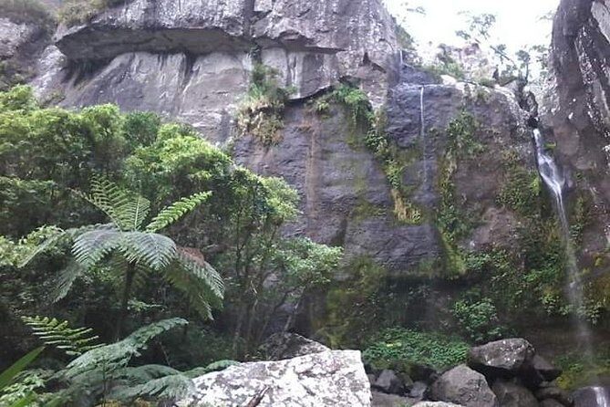 Private Breathtaking Koroyanitu Half Day Waterfall Hike - The Itinerary in Detail