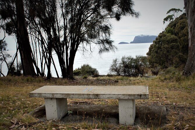 Private Bruny Island Discovery Tour - Who Will Love This Tour?