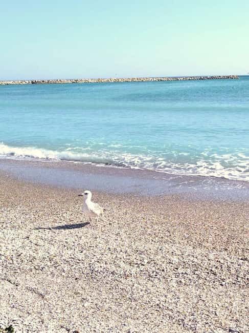 Private Bucharest Tour: Discover Constana & Black Sea Coast - Practical Details: What to Expect