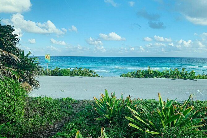 Private Buggy Tour in Cozumel, Snorkel & Lunch: All Inclusive - The Value Proposition