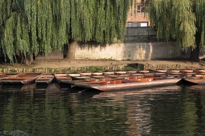 Private Cambridge Punting Tour - Authentic Experiences from the Reviews
