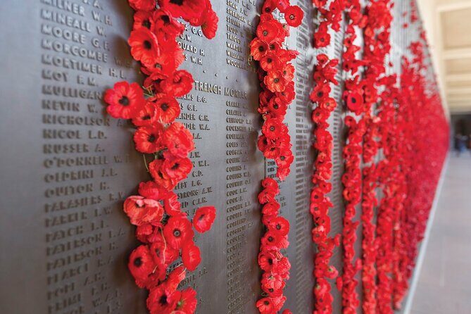 Private Canberra Day Tour from Sydney - Who Will Love This Tour?