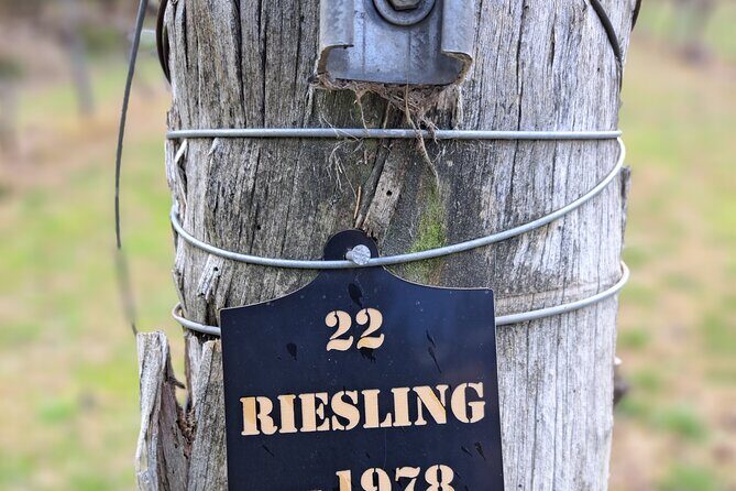 Private Canberra Winery Tour with lunch - Authentic Encounters and Expert Guidance