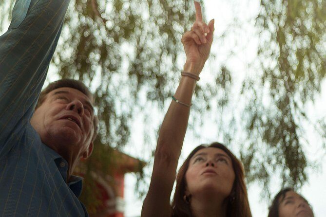 "Private Car and Driver - Passenger insurance -Master Artist's Studios -Weavers- - Unpacking the Oaxaca Private Artisans Tour: A Detailed Look