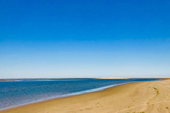 Private Catamaran Boat Tour - Ria Formosa - How the Tour Has Been Rated