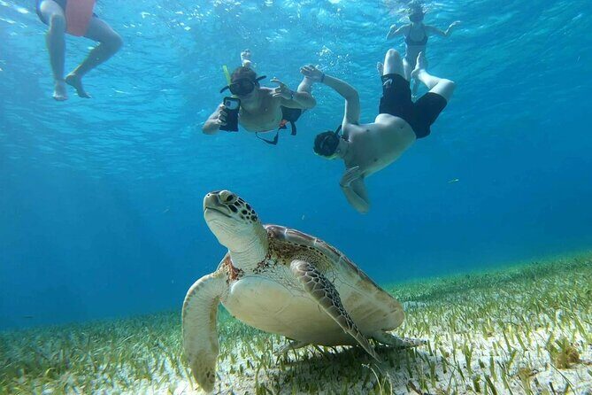 Private Catamaran Tour Charter Custom El Cielo and beach break - Introduction: A Look at the Private Catamaran Tour in Cozumel  