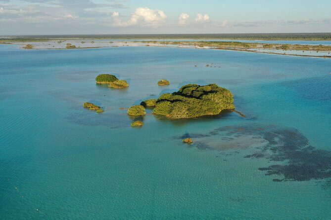 Private Catamaran Tour - Final Thoughts