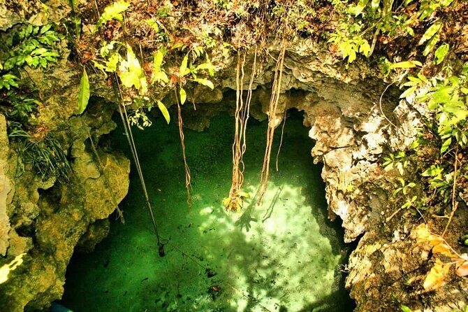 Private Cave Cenote, Open Cenote and Lunch Tour - Why This Tour Offers Great Value