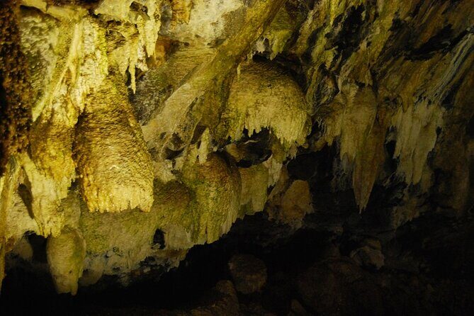 Private Caves Tour with a Geologist - The Experience You’ll Gain