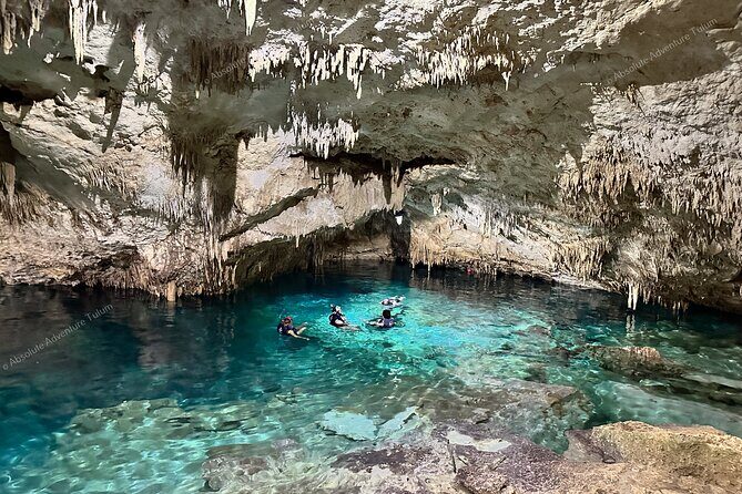 Private Cenote Snorkeling Tour  Tulums Hidden Gems - Why This Tour Works