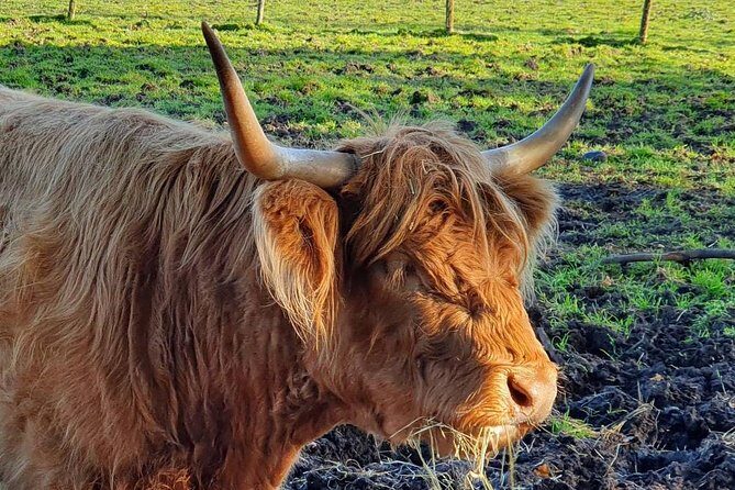 Private Central Highlands Driving Tour - A Closer Look at the Itinerary and Highlights