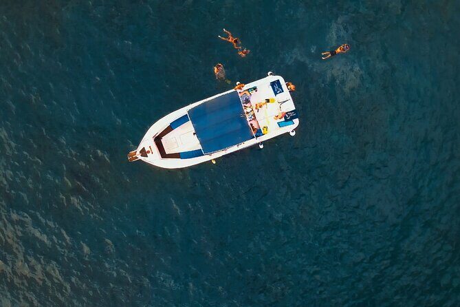 private charter 3 Hours Whale Encounter puerto colon adeje - Final Thoughts: Is It Worth It?