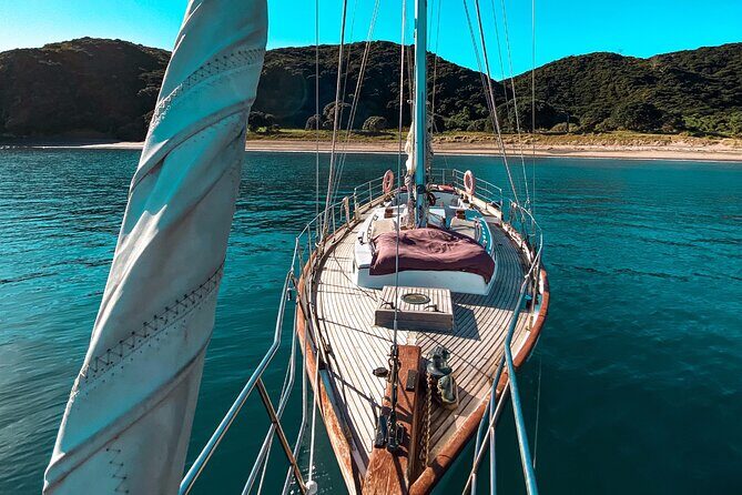 Private Charter Bay of Islands - An Overview of the Private Yacht Experience