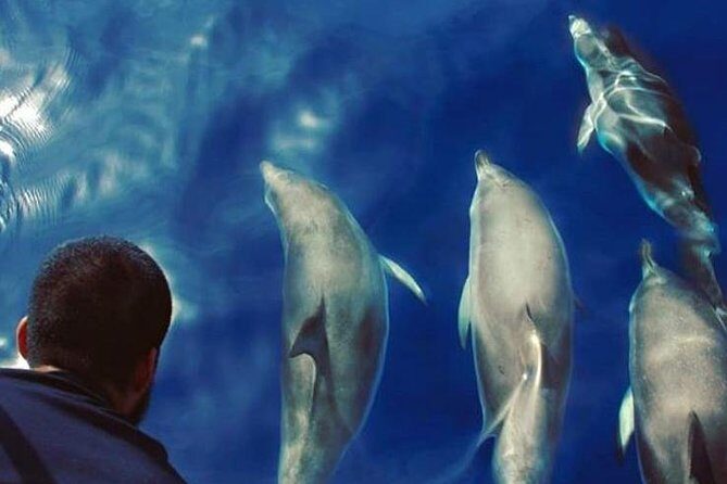 Private Charter in Tenerife south max 7 people - A Closer Look at the Experience