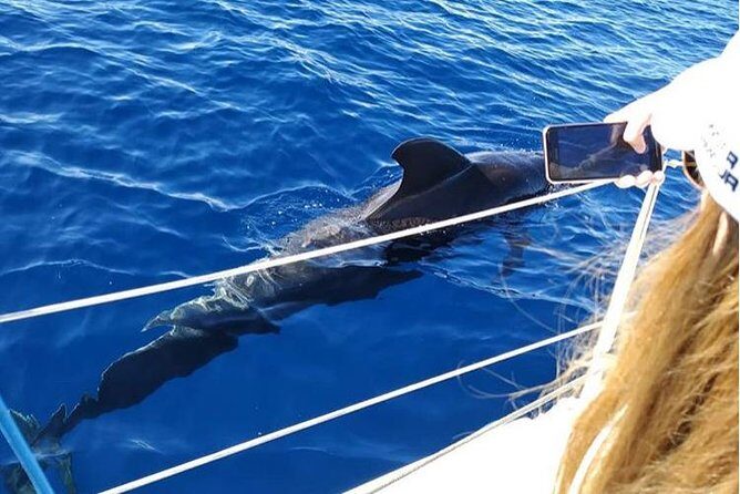 Private Charter in Tenerife south max 7 people - Practical Aspects and Considerations