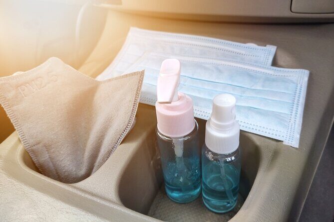 Private Chauffeured Airport Departure Transfers in Sydney - Possible Drawbacks