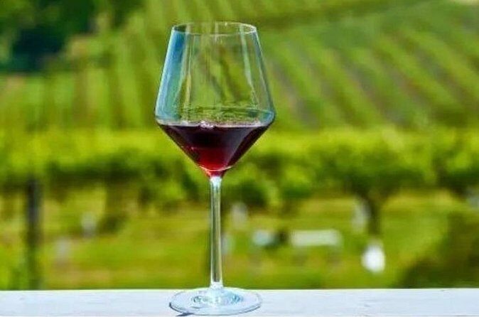 Private Chauffeured Winery Tour - Wrapping Up with Flexibility