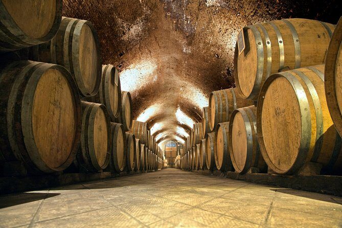 Private Chianti and SuperTuscan Tour 2 wineries with Light Lunch from Livorno - What Makes This Tour Stand Out