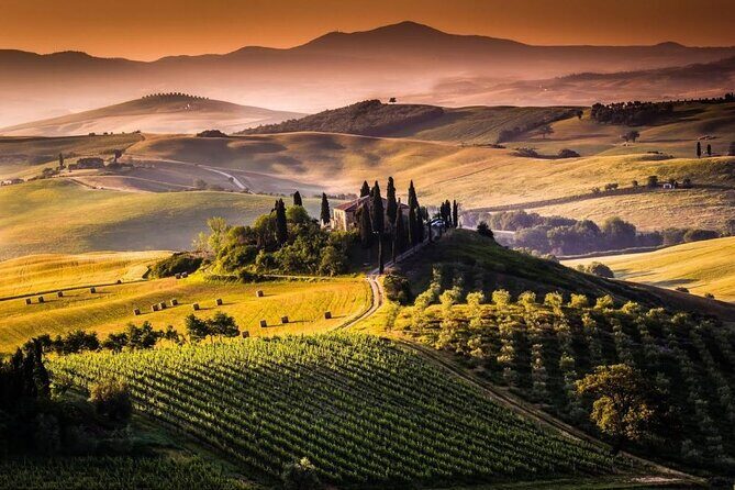 Private Chianti and SuperTuscan Tour 2 wineries with Light Lunch from Livorno - Who Will Love This Tour?