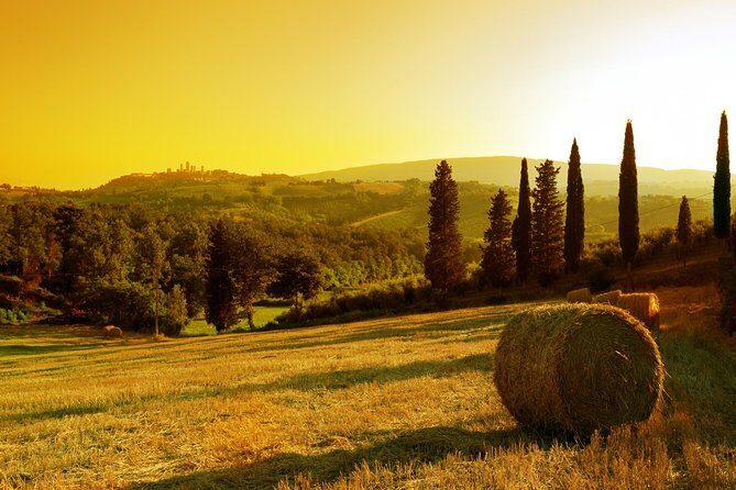 Private Chianti and SuperTuscan Tour 2 wineries with Light Lunch from Livorno - Final Thoughts