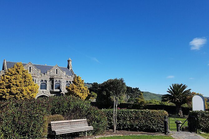 Private Christchurch City Highlight Half Day Tour - The Guide’s Role and Stories