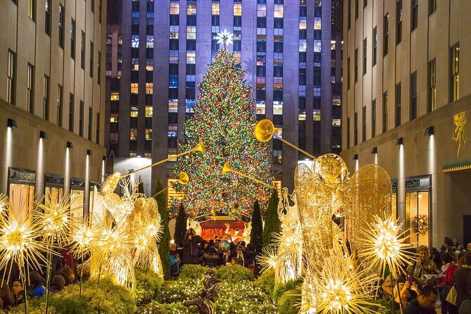 Private Christmas Lights Horse Carriage Tour In New York City - A Detailed Look at the Experience