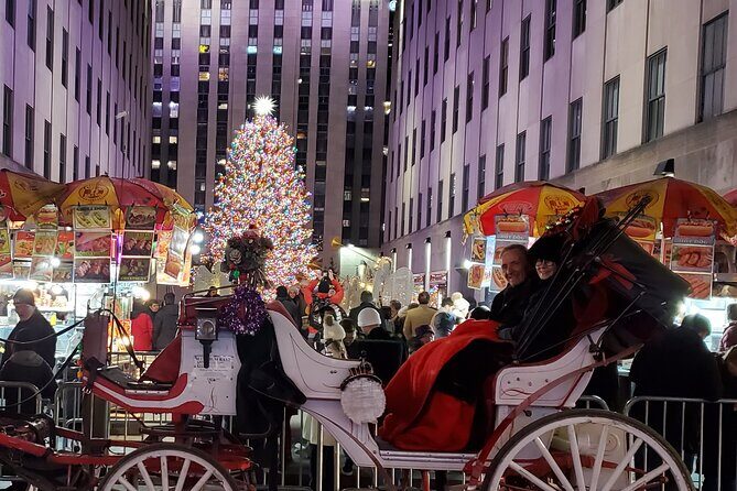 Private Christmas Lights Horse Carriage Tour In New York City - Final Thoughts