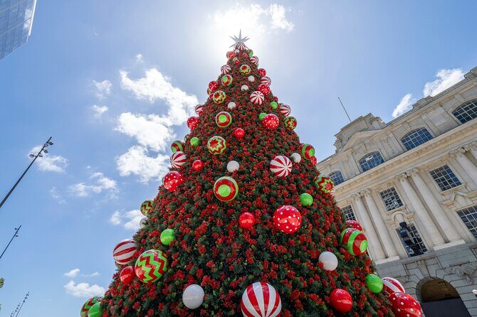 Private Christmas Walking Tour in Auckland City Lights - In-Depth Review of the Auckland Christmas Walking Tour