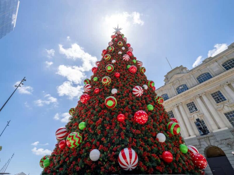 Private Christmas Walking Tour in Auckland City Lights - Key Points