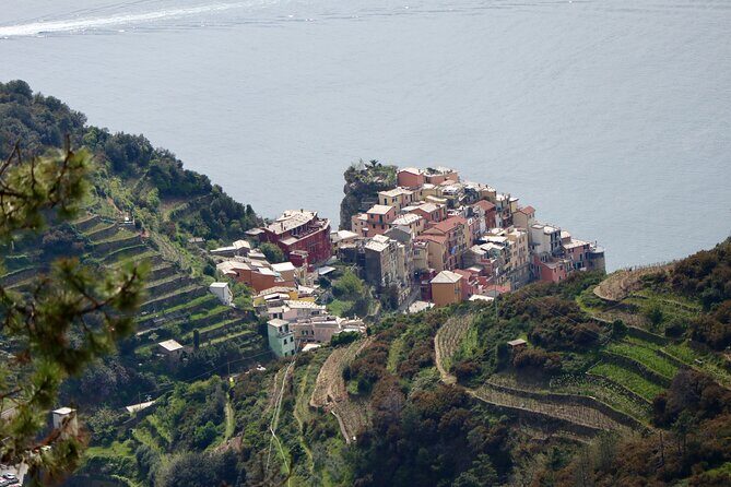 Private Cinque Terre Trek & Tour - Final Thoughts