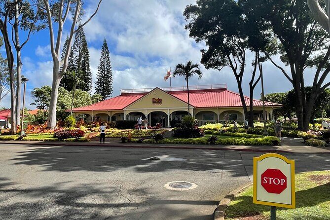 Private Circle Island Tour North Shore and East Side - Introduction