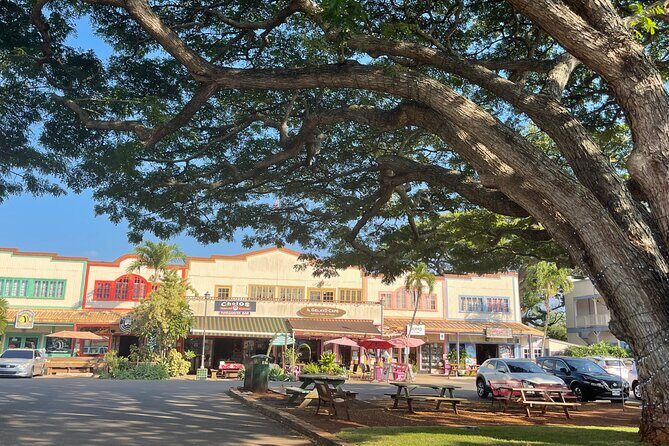 Private Circle Island Tour North Shore and East Side - Practical Details