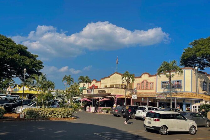 Private Circle Island Tour North Shore and East Side - Who Is This Tour Best For?