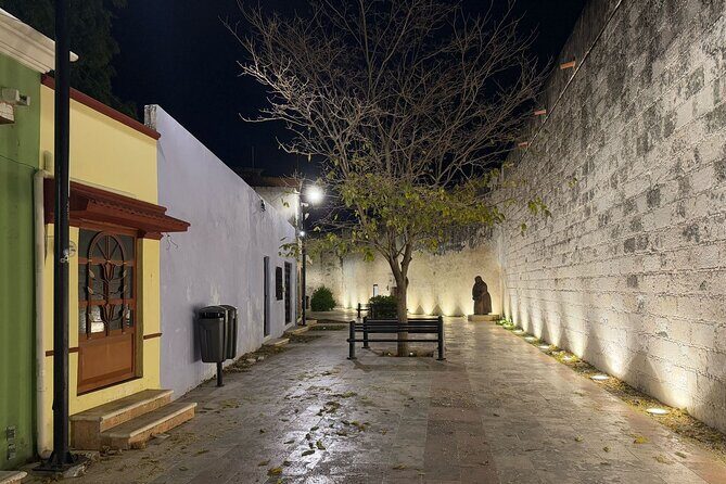 Private City Tour Campeche - Who Will Benefit from This Tour?