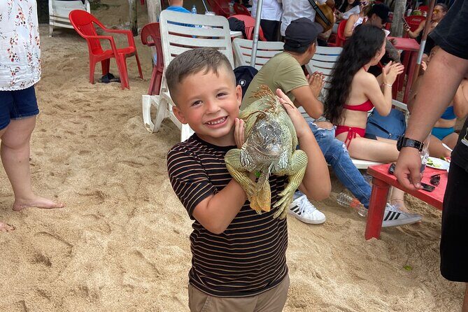 Private City Tour & Rain Forest - The Value of This Tour