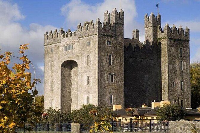 Private Cliffs of Moher Tour Small Group from Limerick - Who Is This Tour Best For?